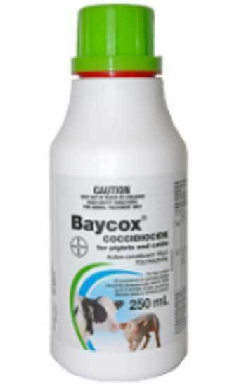 Baycox 250ml Piglet & Cattle Coccidiocide (B5771) for sale online | eBay