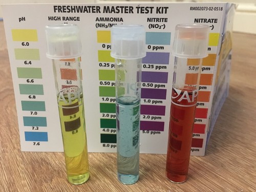 Kleen off 570600 Household Ammonia 500ml for sale online | eBay