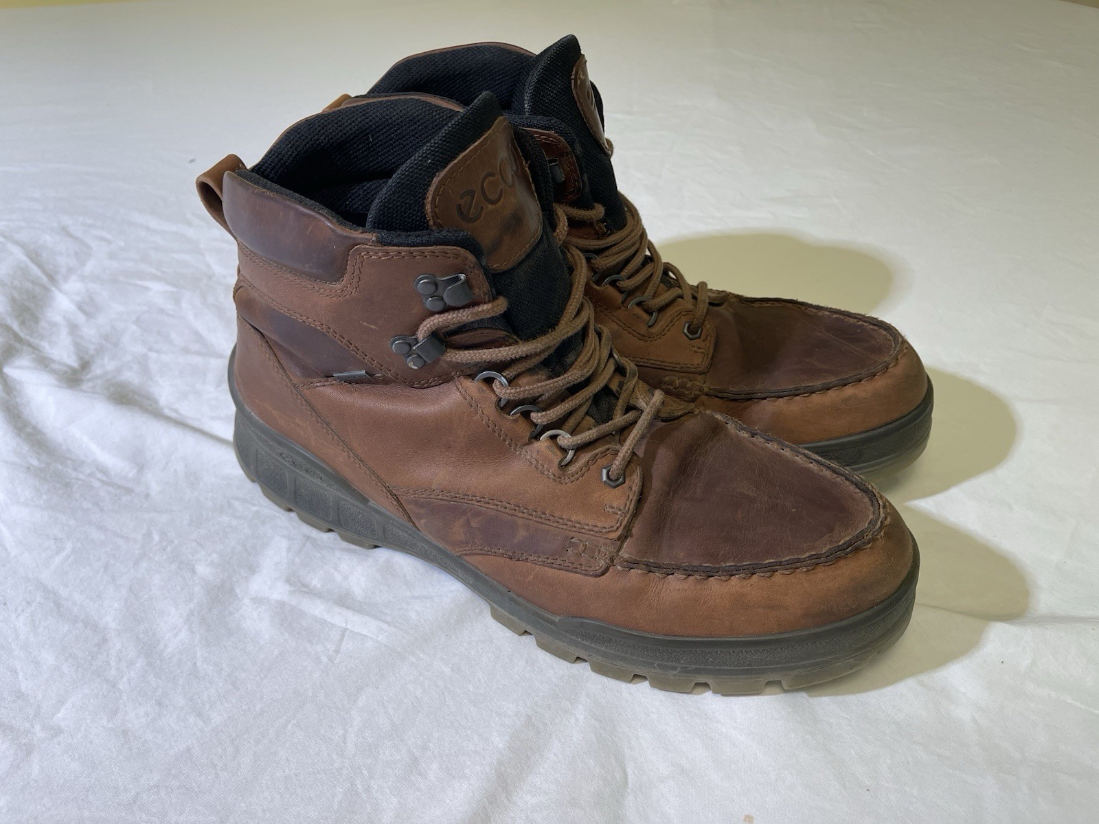 ECCO Men's Track 25 Hiking Boot Bison Goretex Nubuck… - Gem