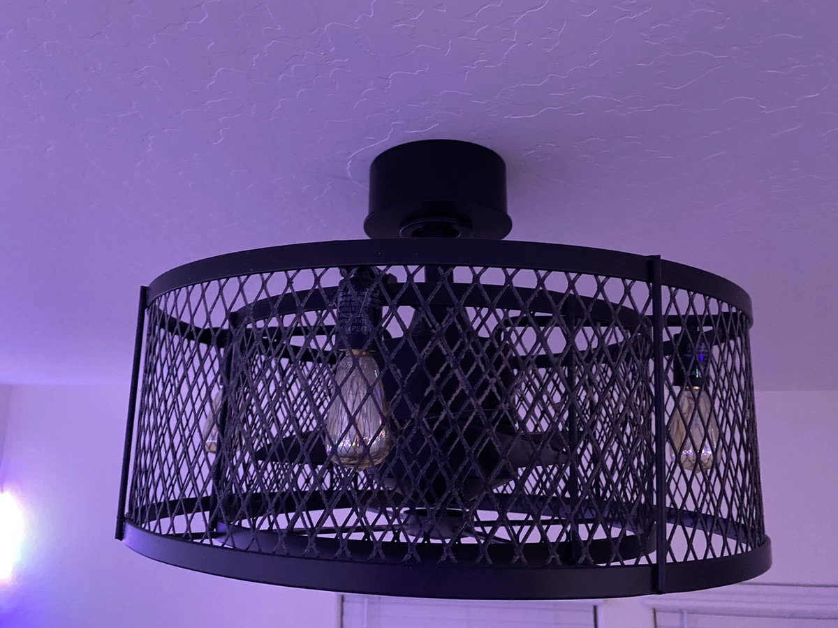 Fanimation Edison Light Ceiling Fan | Shelly Lighting