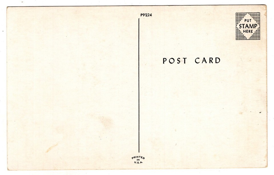 RISQUE Vintage 1950's Comic EVERYONE IS ADMIRING OUR POSTCARDS ...