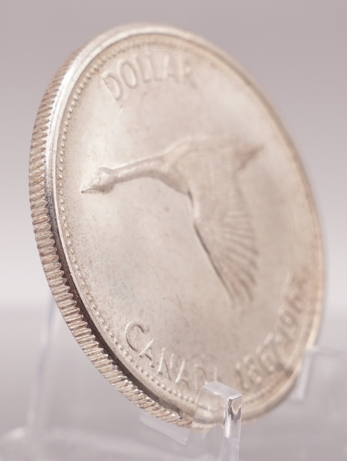 1867-1967 Canadian Goose dollar Queen Elizabeth II Canada 80% Silver ...