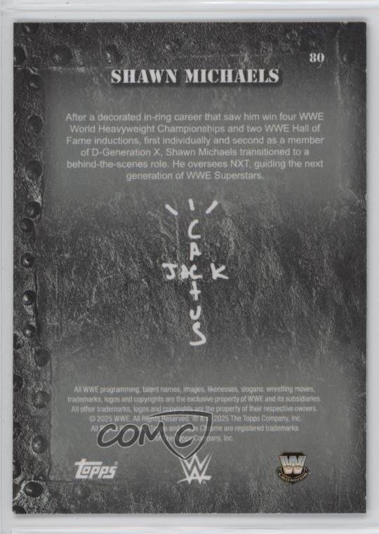 2025 Topps Chrome WWE x Cactus Jack Aqua Shimmer Refractor /199 Shawn ...