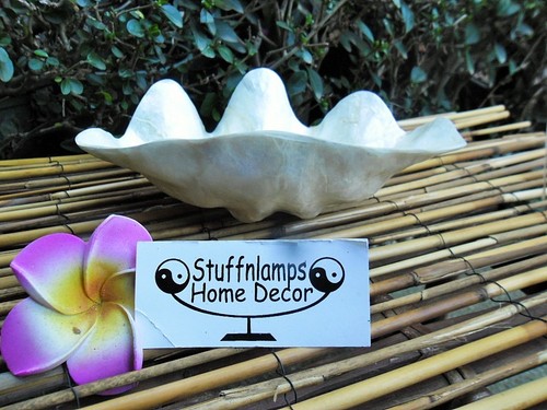 Capiz Shell Bowl - Clam Shape x 20cm Capiz Shell | eBay