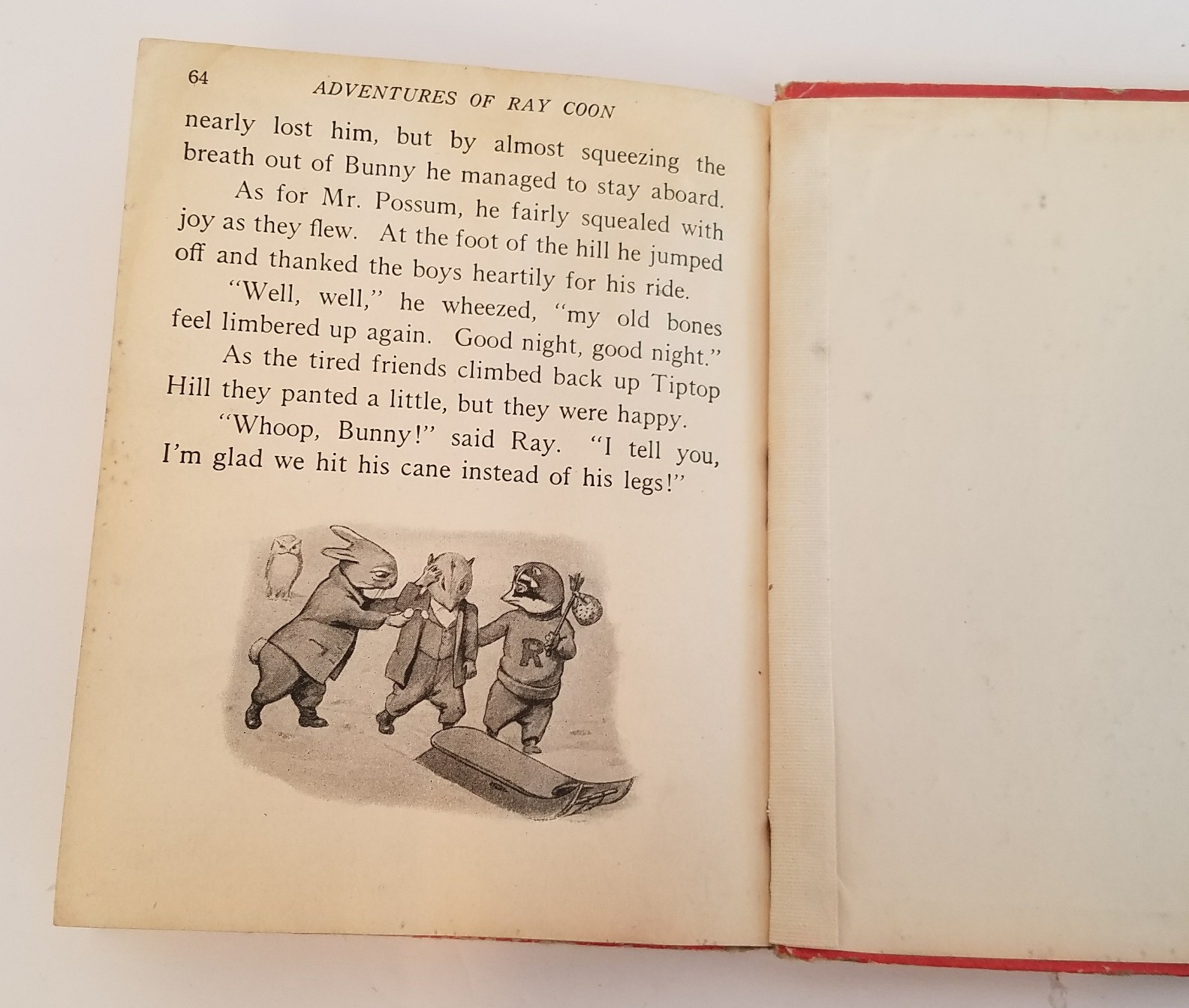 1923 Book Adventures of Ray Coon by Nancy Byrd Turner w/ color ...