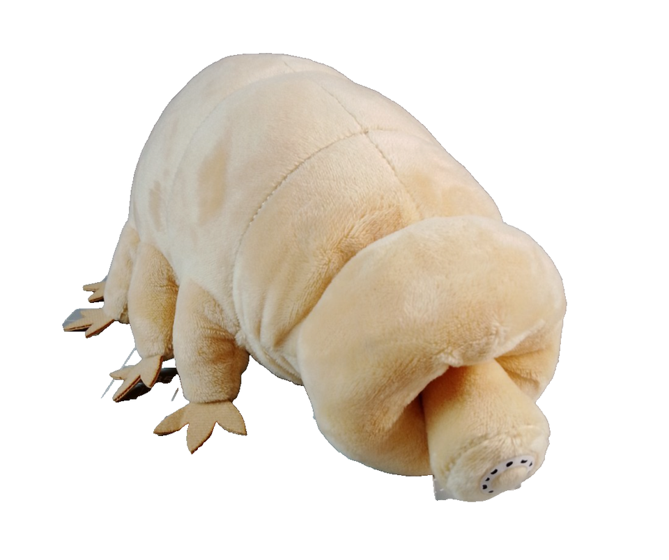 Tardigrade Water Bear Moss Pig 25"cm Beige "Cute" | eBay