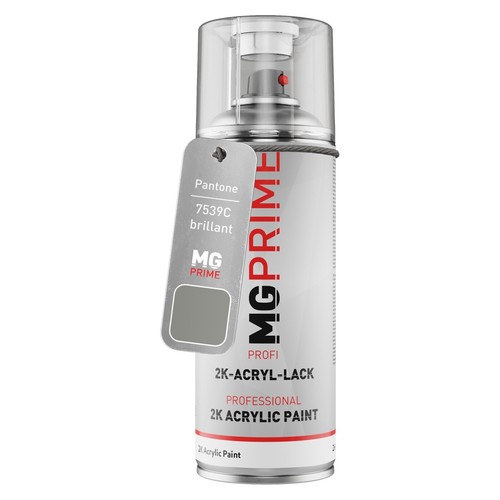 Pantone 7539C Grey brillant acrylique bombe aérosol 2C 400ml séchage ...