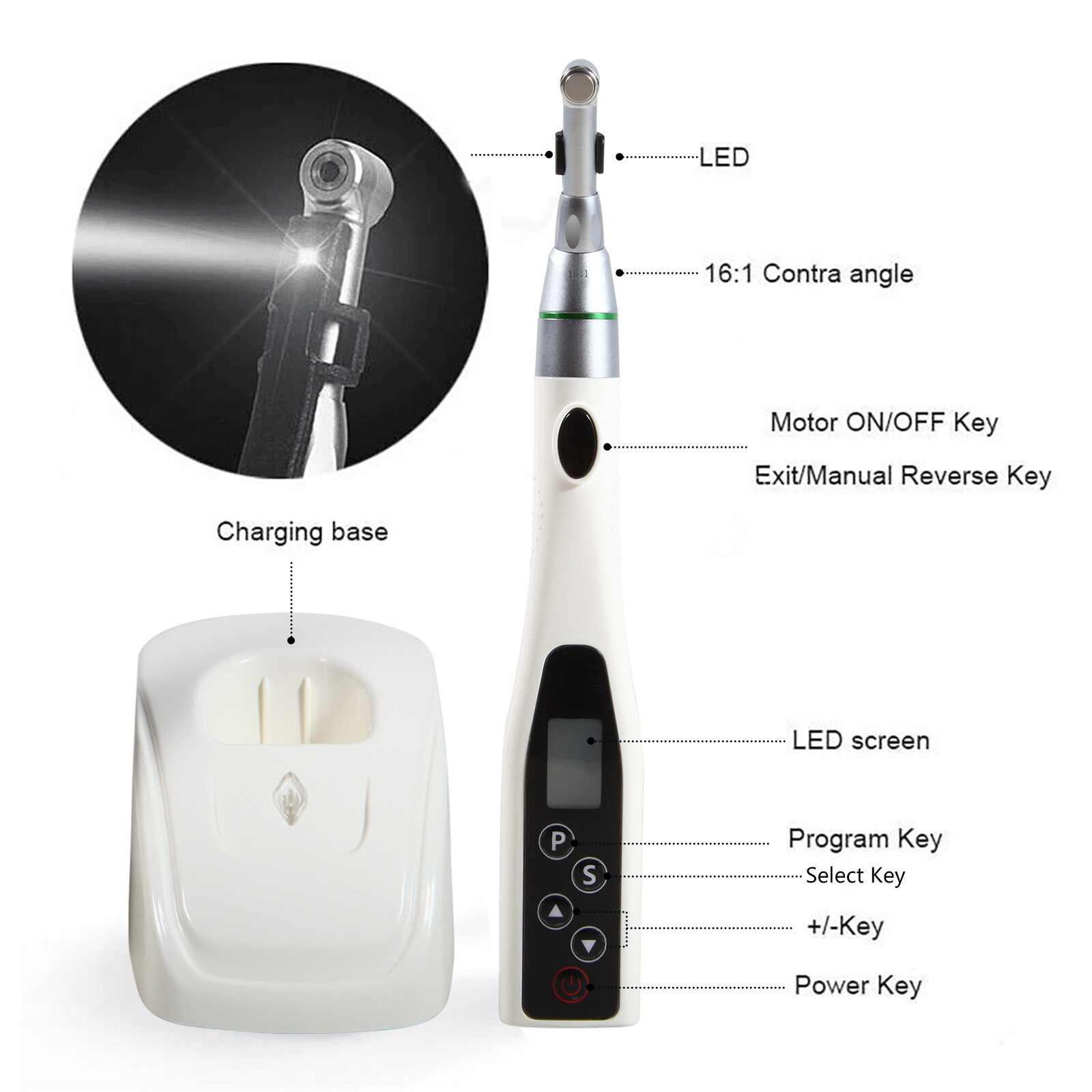Wireless Dental LED Endo Motor 16:1 Contra Angle Handpiece Root Canal ...