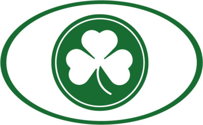 Shamrock Oval Car Bumper Sticker Decal | eBay