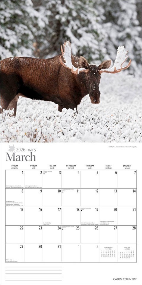 Cabin Country | 2026 12x24" (Hanging) Monthly Square Wall Calendar | eBay