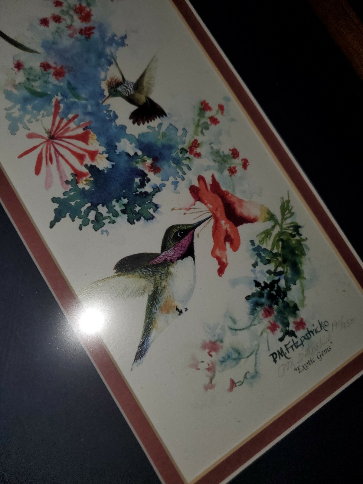 Pair of PM FITZPATRICK Limited Edition Exotic Birds Prints Antique ...