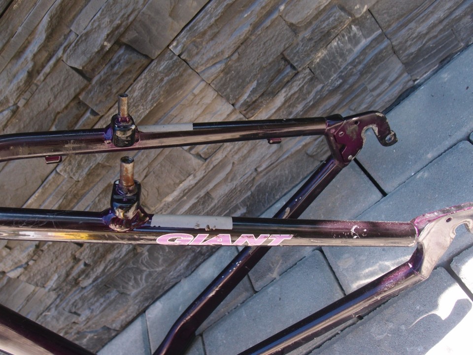 MTB frame Giant CADEX HCM-1 Competition Series 18 in Marzocchi Bomber ...