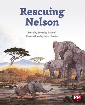 Rescuing Nelson 2nd Edition by Beverley Randell (English) Paperback ...