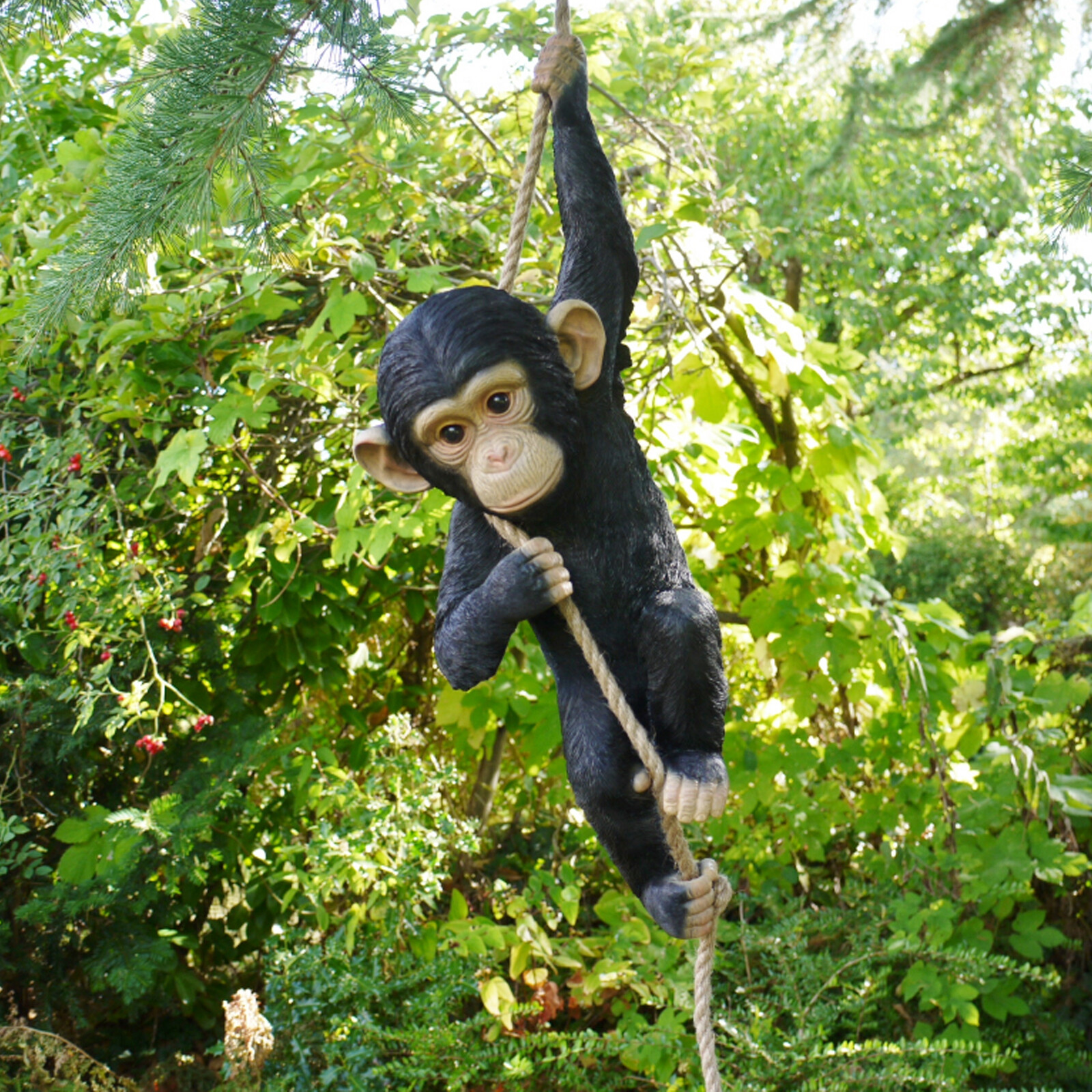 Monkey Hanging On Tree