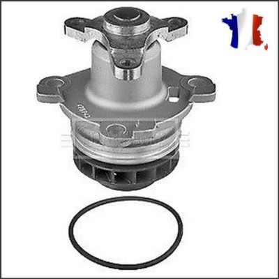 Pompe à Eau pour Renault Master III Espace IV MEGANE 2.0DCI 210103098R ...