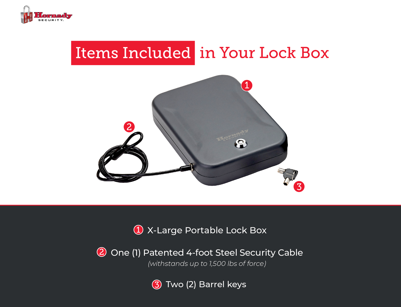 Hornady Portable Lock Box for Guns and Valuables - with 2 Keys, 4ft ...