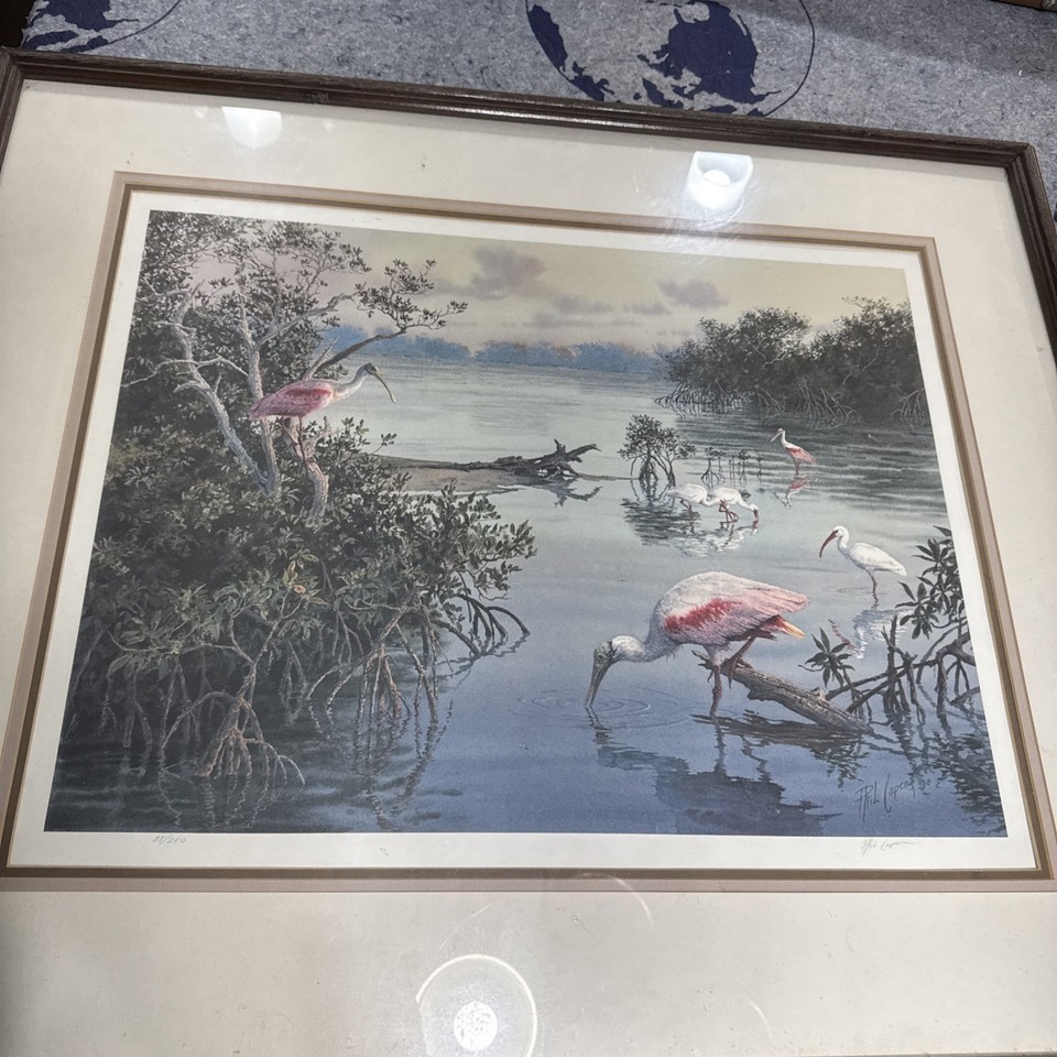 PHIL CAPEN ROSEATE SPOONBILL EVERGLADES NATIONAL PARK , Framed 23/250 ...