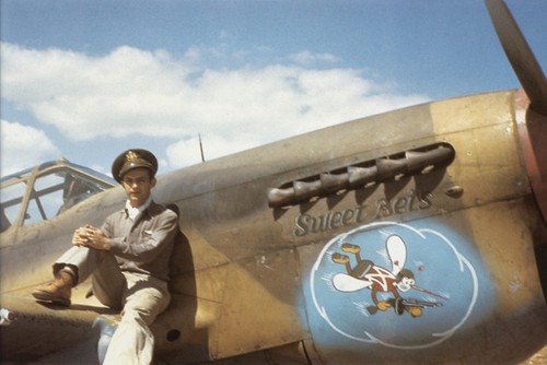 P-40 Warhawk in WWII Color - Jeffrey L. Ethell - Motorbooks | eBay