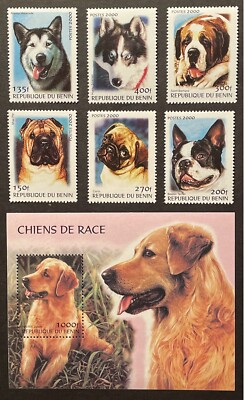 BENIN DOG BREEDS STAMPS SET 6V + S/S 2000 MNH RETRIEVER HUSKY PUG ST ...