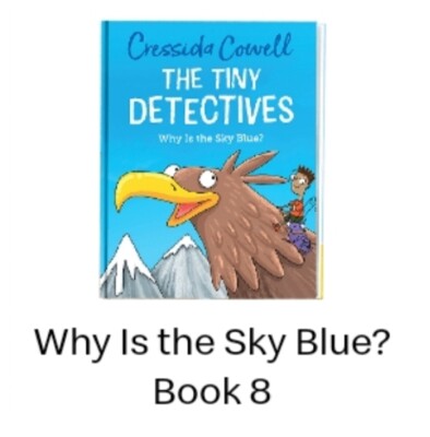 Mcdonald's tiny detectives 'why is the sky blue?' happy meal book | eBay Australia