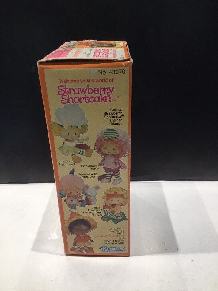 Vintage 1980 Strawberry Shortcake Orange Blossom Doll w/ Comb In Opened ...