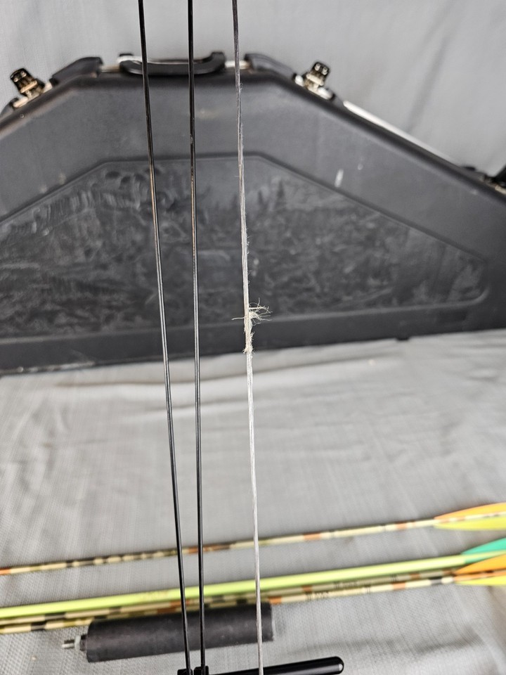 Classic Browning Boss Raptor Adjustable Compound 60-70lbs 29-31" Draw ...