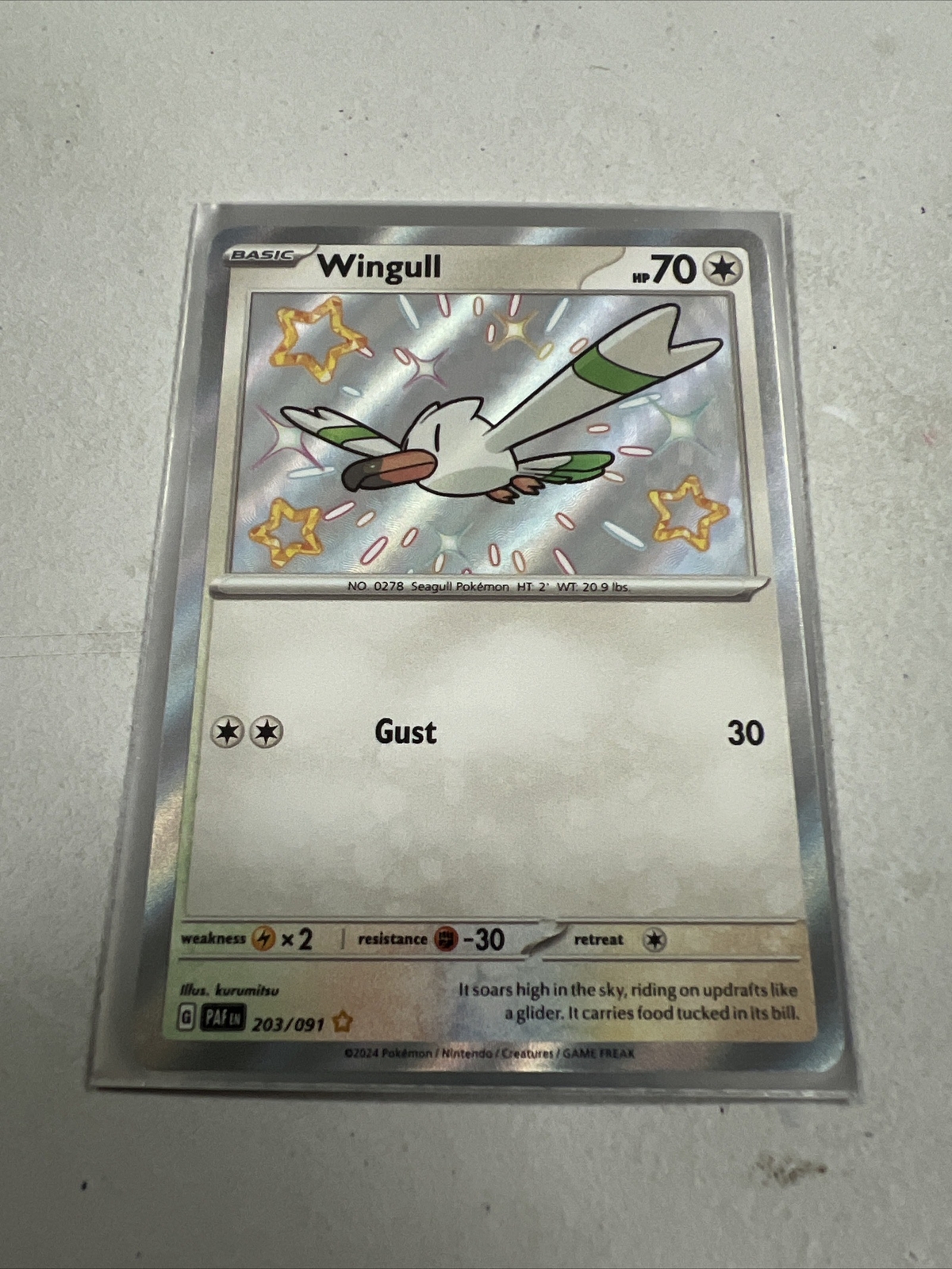 Pokemon Wingull 203/091 - Paldea Fates - Shiny Rare In Hand English | eBay