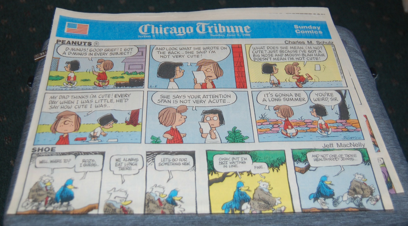June 5 1988 Sunday Chicago Tribune Comic Section Spiderman,Peanuts, | eBay