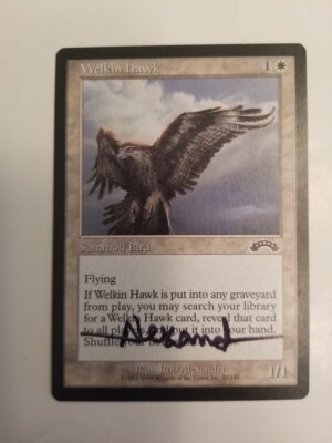 Welkin Hawk Exodus Ed Signed by Rob Alexander MTG Magic the Gathering ...