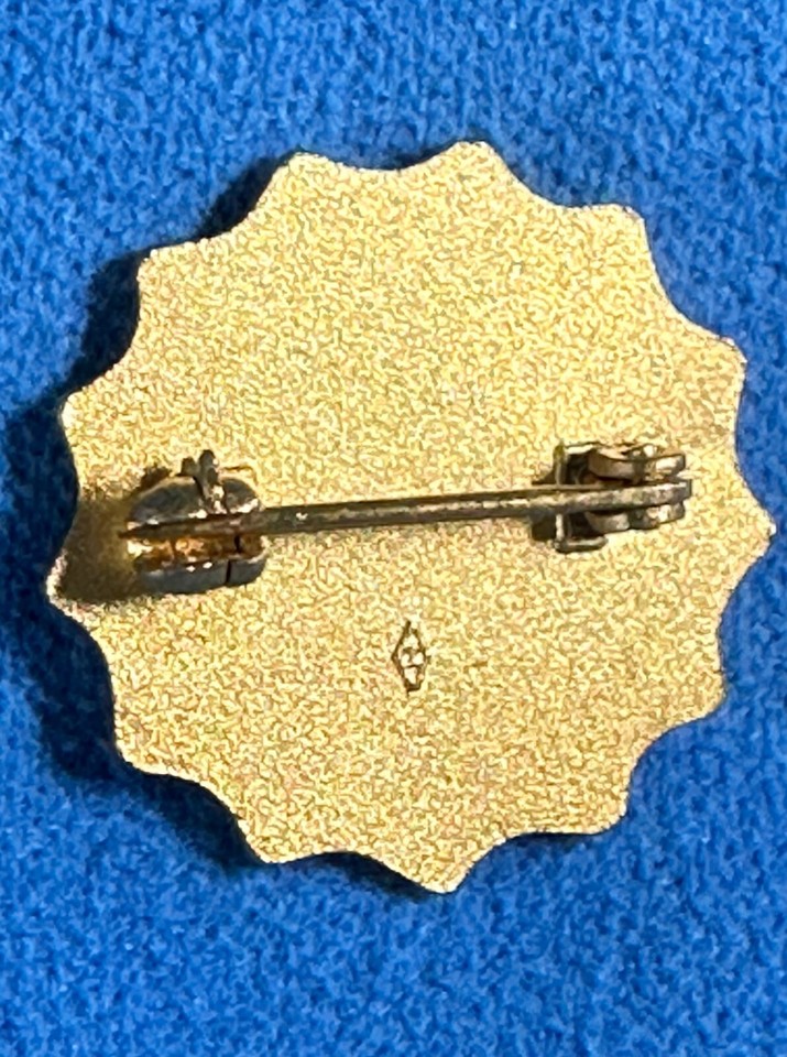 Vintage Daughters of the American Revolution Good Citizen Award Pin ...