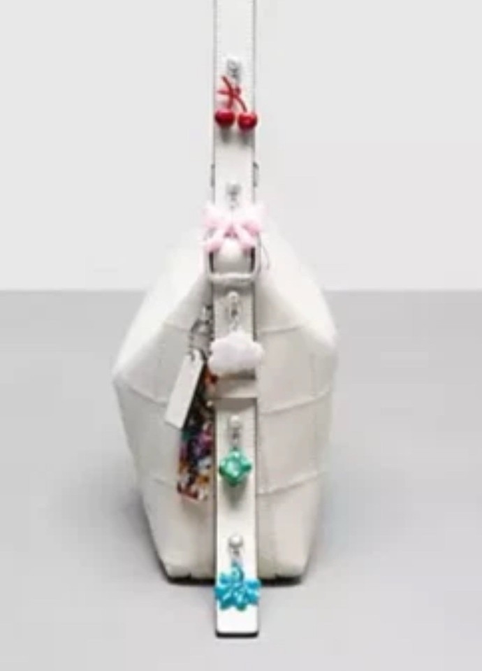 🍒NEW COACH COACHTOPIA BAG CHARM CHERRY SCREW BACK CBU99 | eBay
