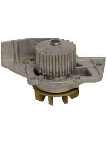 Protex Water Pump fits Peugeot 306 2.0 N5,N3,7C,7A HDI 90 (PWP7069) | eBay