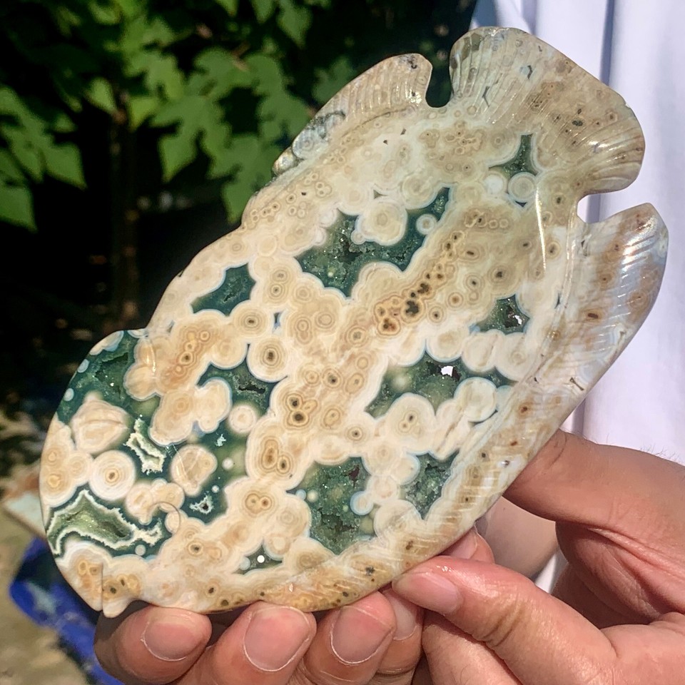 307G Amazing Natural Ocean Jade Crystal Carving Fish Jade Halo Stone- | eBay