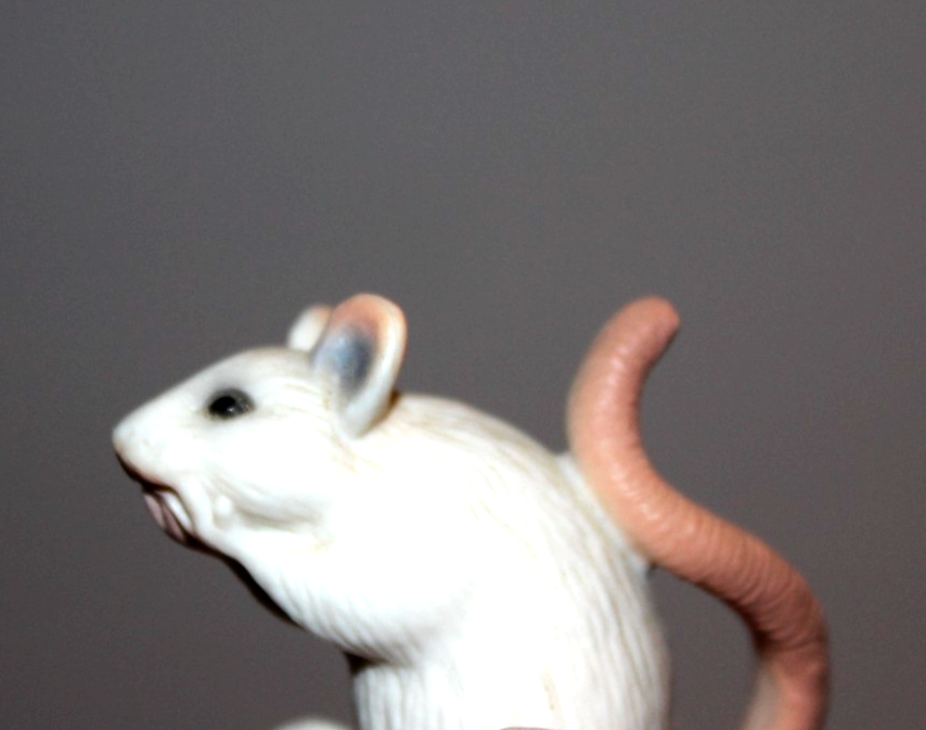 Schleich White Mouse 14406 RETIRED RARE 1" Farm life miniature figurine ...