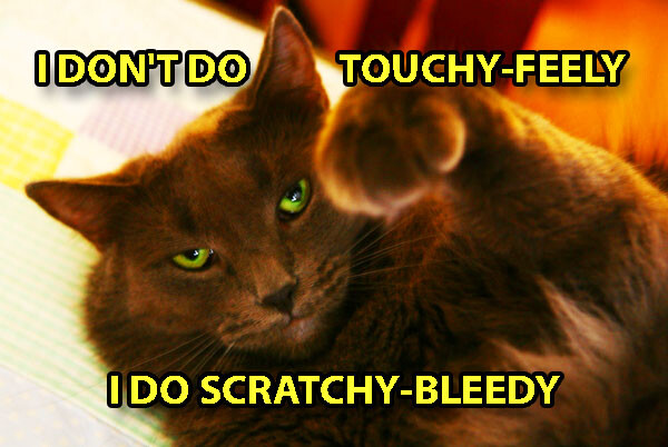 Scratchy Memes