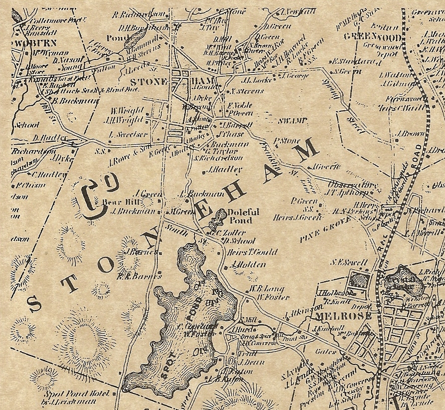 Chelsea Saugus Lynn Revere Swampscott MA | Grelly USA