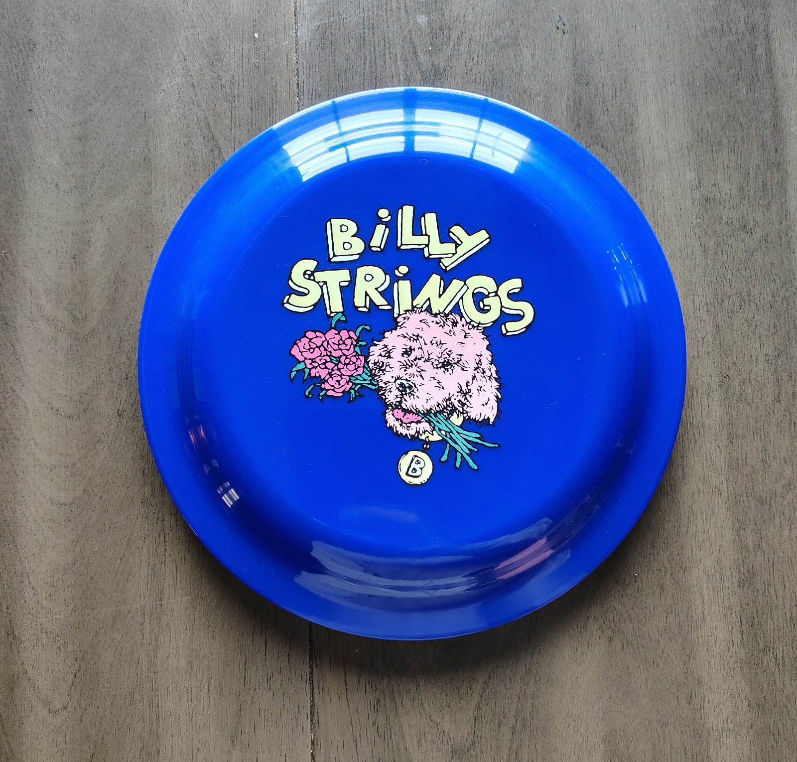 Official LE Billy Strings 2025 Spring Tour Dog Flowers Bear Frisbee | eBay