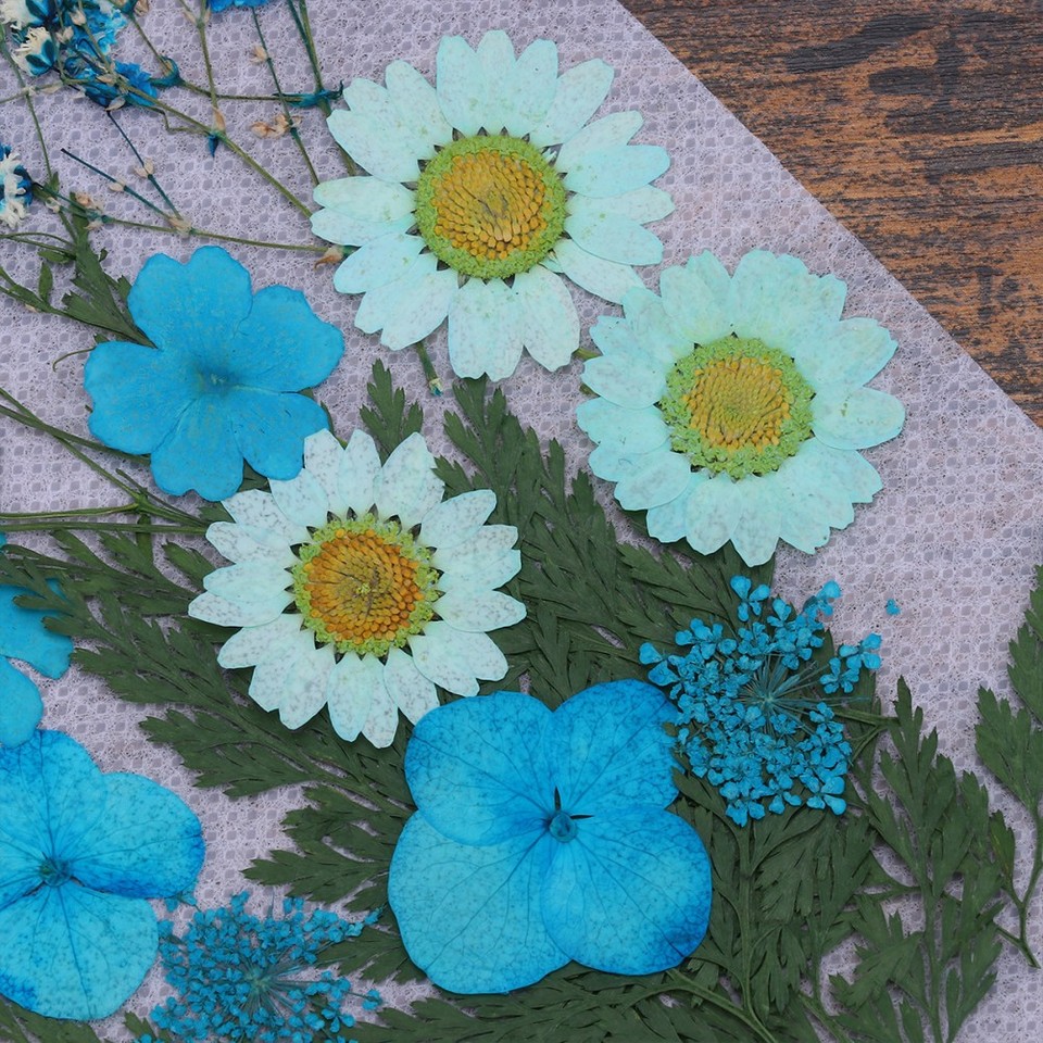 Dried Flower Material Package Handmade Pressed Flowers for Crafts ...