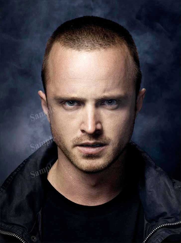 Aaron Paul Breaking Bad Poster