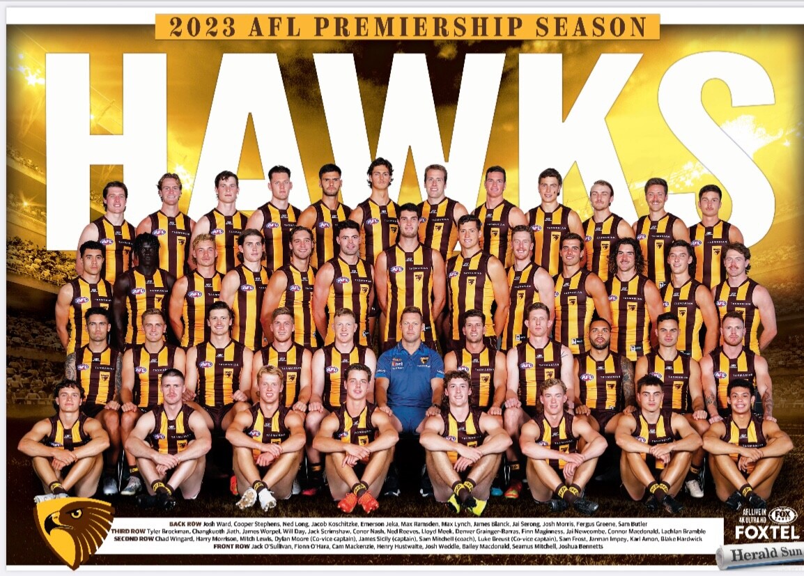 2023 hawthorn hawks team POSTER,AFL FOOTBALL PREMIERS,SWANS,Geelong ...