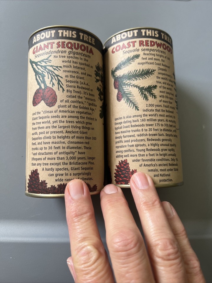 giant-sequoia-redwood-tree-seed-grow-kits-the-jonsteen-company-2