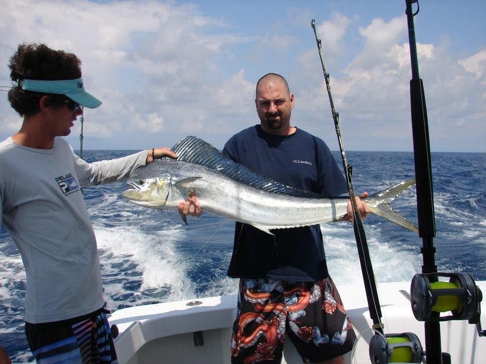 2 Mylar Mahi Tuna Wahoo Dolphin Mackerel Wahoo Marlin Trolling Fishing ...