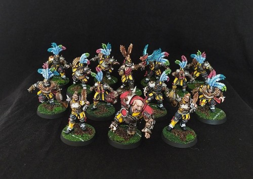 Imperial Nobility Blood Bowl Team: The Bögenhafen Barons + Griff ...
