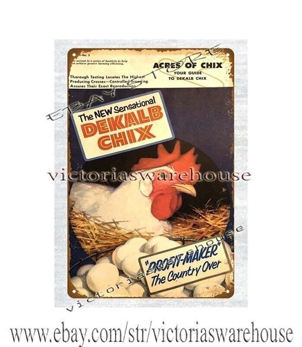 living room auto garage decor 1955 Dekalb Chix Acres Of Chix metal tin ...