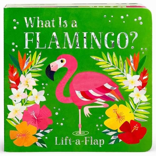 Ginger Swift What Is a Flamingo? (Board Book) (UK IMPORT) 9781680526363 ...