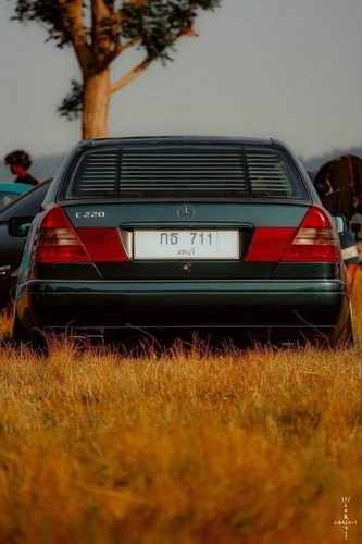 Rear Venetian Blind for Mercedes Benz w202 | Thailand