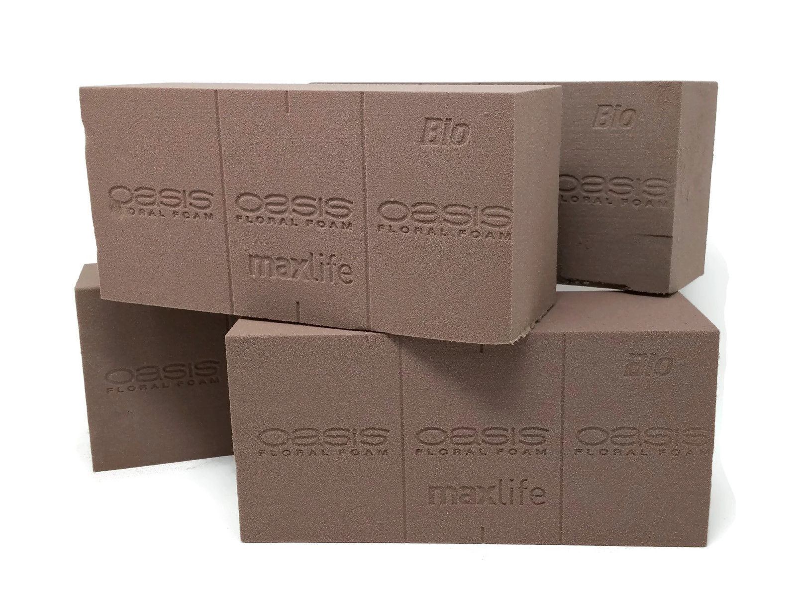 Oasis Bio Maxlife Wet Foam Bricks - box of 20 bricks- Fresh Flower ...