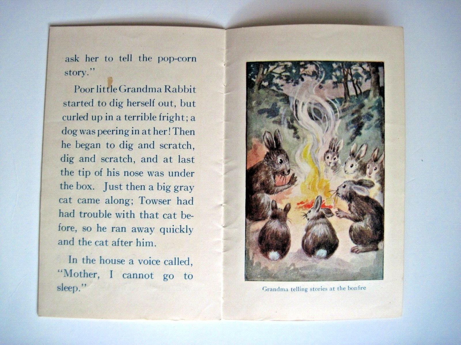 Adorable Vintage "The Bunny Bonfire" Story Booklet w/Cute Pictures of ...