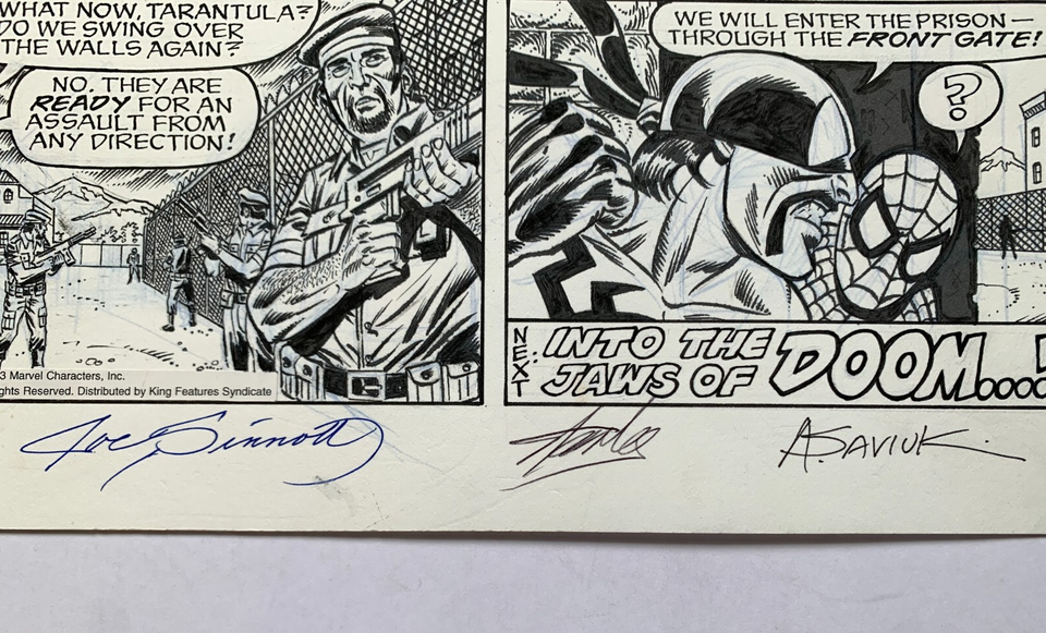 Original Art Alex SAVIUK, Joe SINNOTT signed by STAN LEE Sunday Strip ...