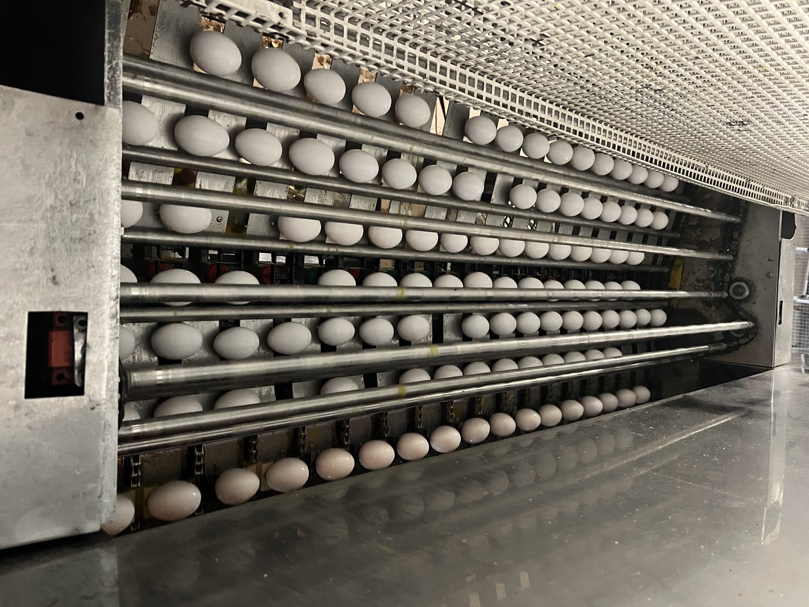 2000 Staalkat Selecta Egg Grader, Moba Dirt Detector and Kohl Washer 300cs/h | eBay